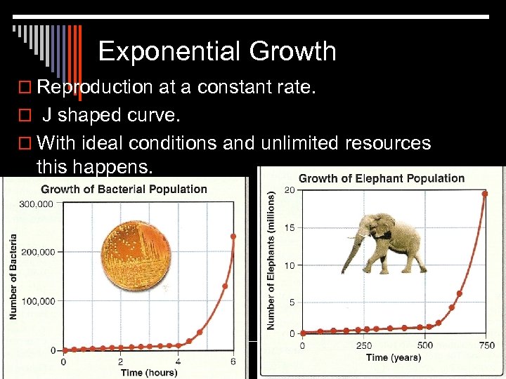 Mendel s Experiments 2 Types of Fertilization 1 Self-pollination