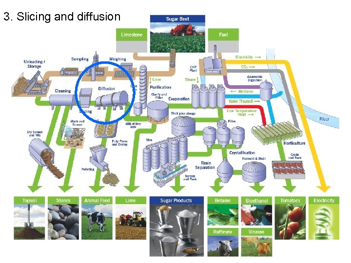 Inside a sugar factory Learning objective To