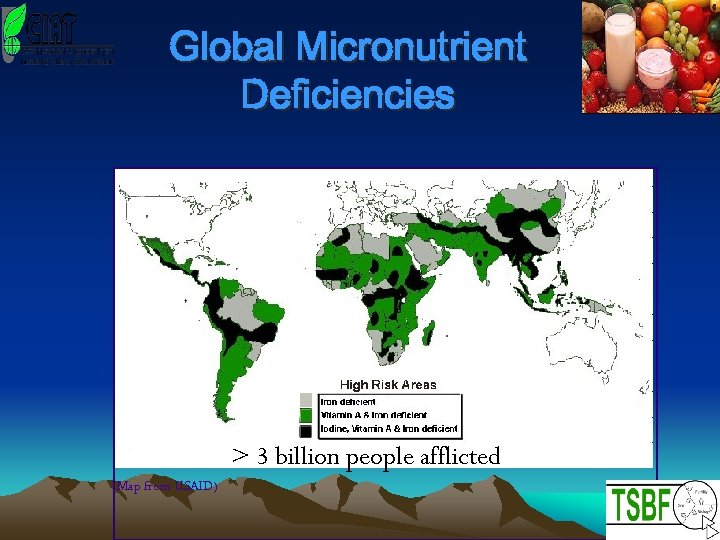 The Impact of Biodiversity and Bio-fortification on nutrition