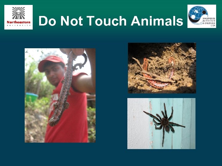 Experiences from the Field Building a Water Distribution