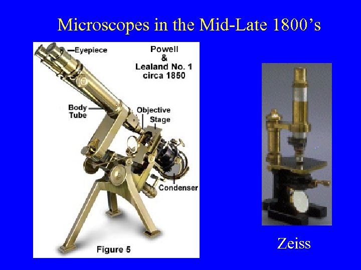 Light Microscopy and Electronic Imaging for the Biomedical