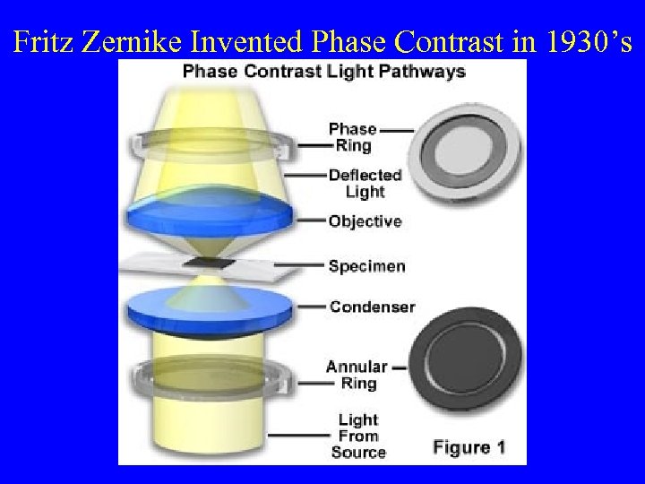 Light Microscopy and Electronic Imaging for the Biomedical