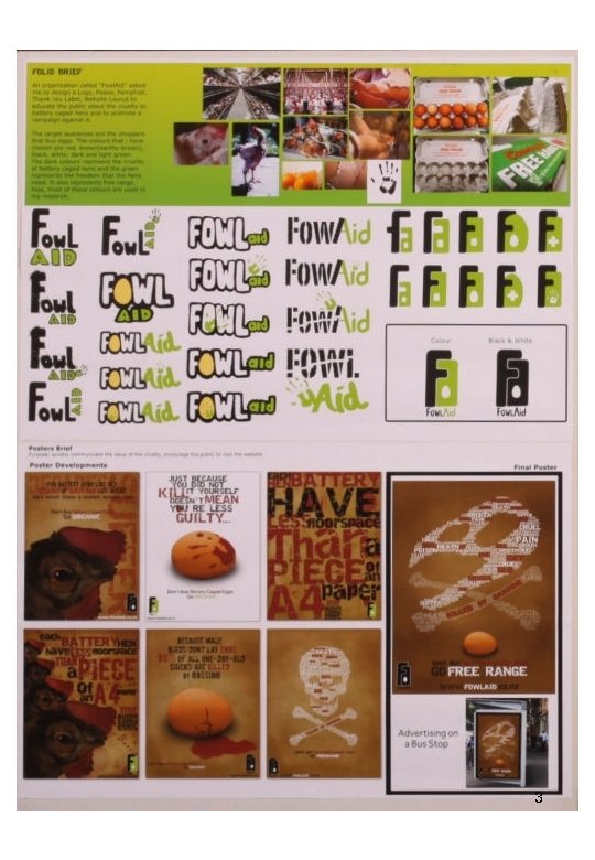 NCEA Level 3 — Visual Arts 2010 Examples