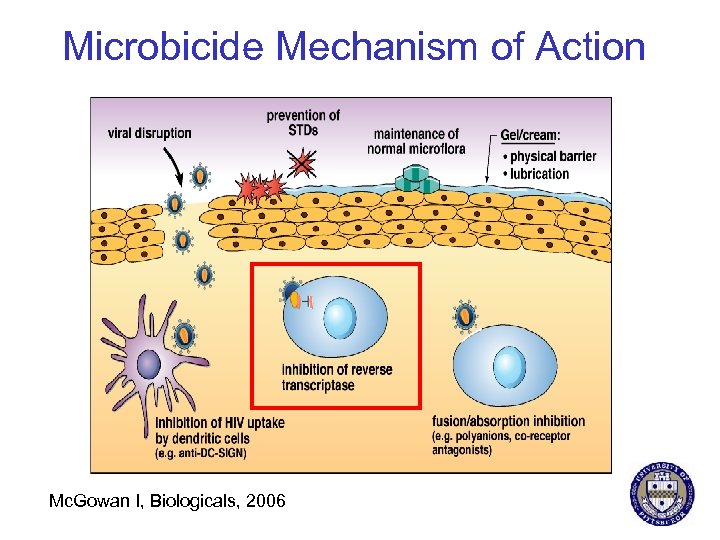 State of Global Rectal Microbicide Research Ian Mc