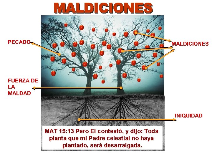 Objetivo Principios de las bendiciones y maldiciones