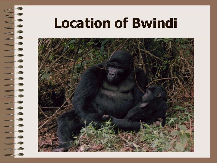 MANAGEMENT EFFECTIVENESS The Usefulness of using management effectiveness