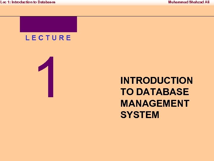 Lec 1 Introduction to Databases Muhammad Shahzad Ali