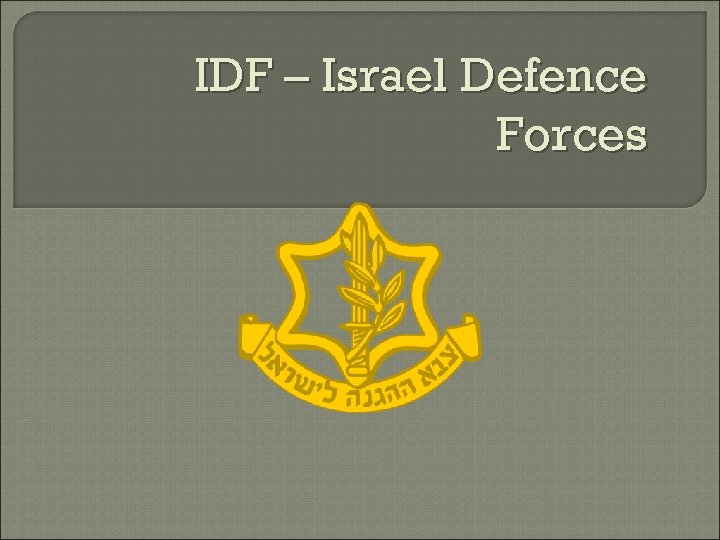 IDF Israel Defence Forces Založení 1948