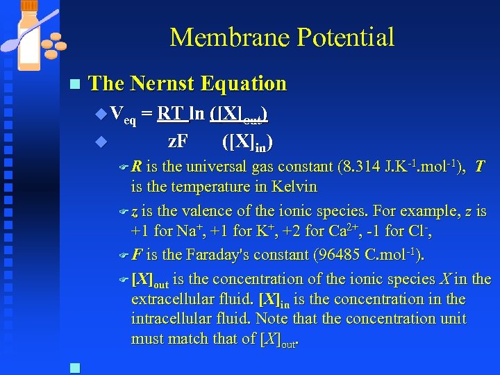 Physiology of Neurons By Lincoln Edwards D D