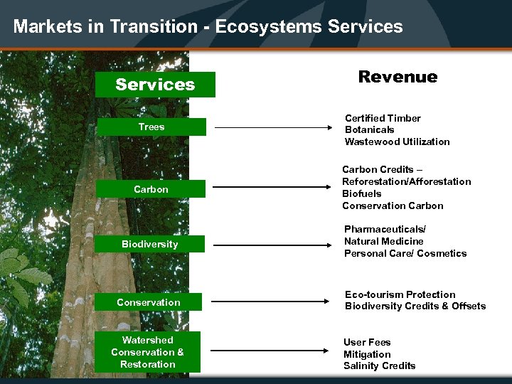 Making the Priceless Valuable Ecosystem Service Payments Markets