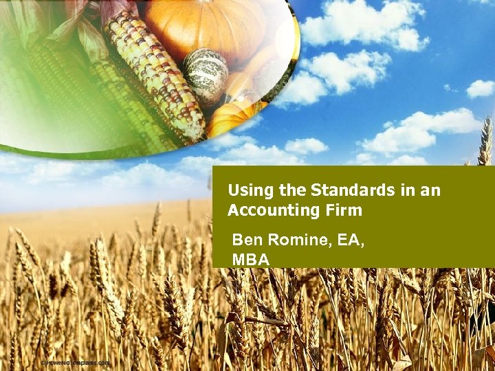 Using the Standards in an Accounting Firm Ben