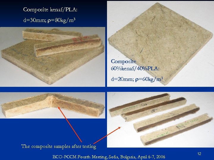 PROJECT Eco-Houses Based on Eco-Friendly Polymer Composite Construction