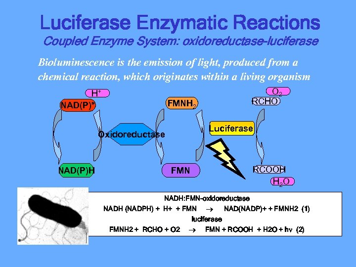 The Development of Bioluminescent Biosensors for Air Environment