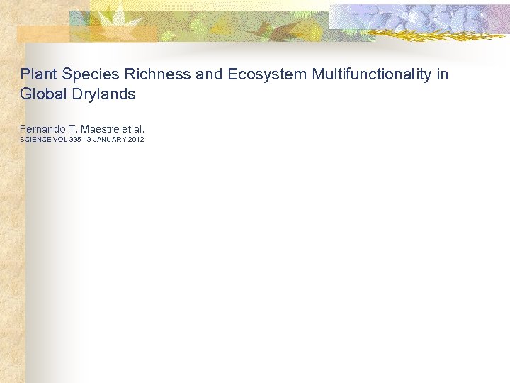 Plant Species Richness and Ecosystem Multifunctionality in Global