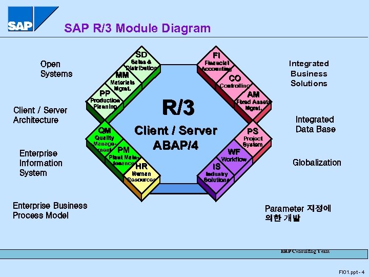 Introduction to Financial Accounting ERP Consulting Team FI