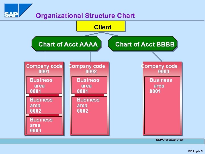 Introduction to Financial Accounting ERP Consulting Team FI