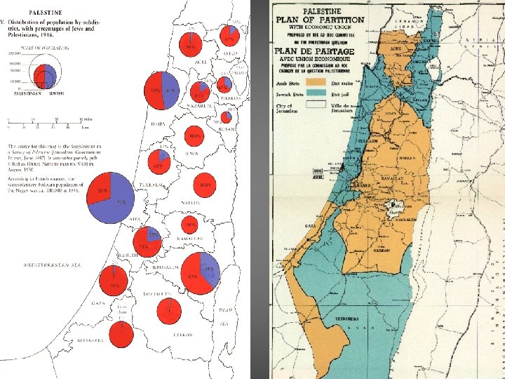 Born of War or Design Debating the Palestinian