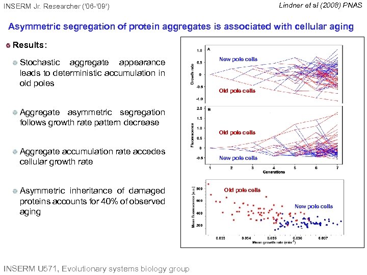 Role of protein aggregation in cellular degeneration a