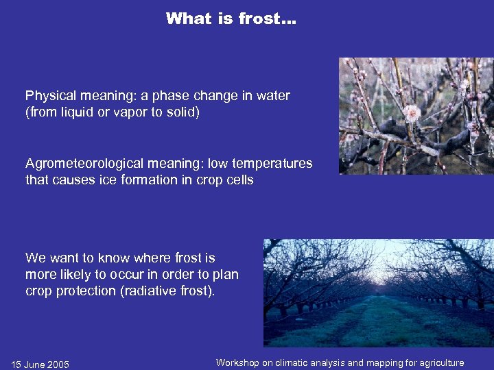 ISTITUTO DI BIOMETEOROLOGIA CONSIGLIO NAZIONALE DELLE RICERCHE Frost