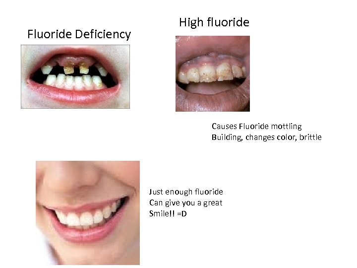 Marks Biochemistry Chapter 1 Metabolic Fuels Review