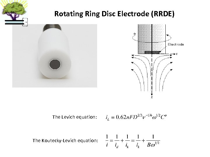 Ruthenium based non platinum catalysts for oxygen reduction