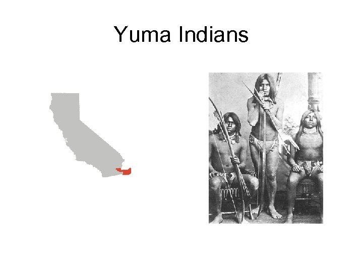 Native Californians Yuma Indians Chumash Indians