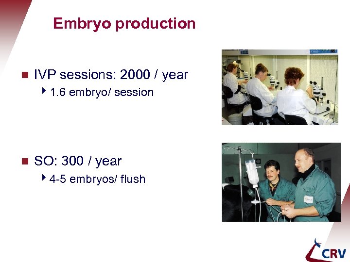 Use of OPU-IVP and SO at CRV breeding