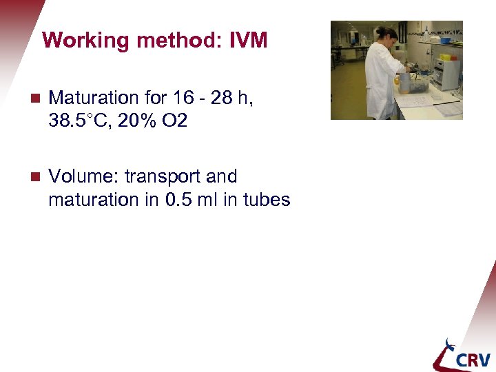 Use of OPU-IVP and SO at CRV breeding