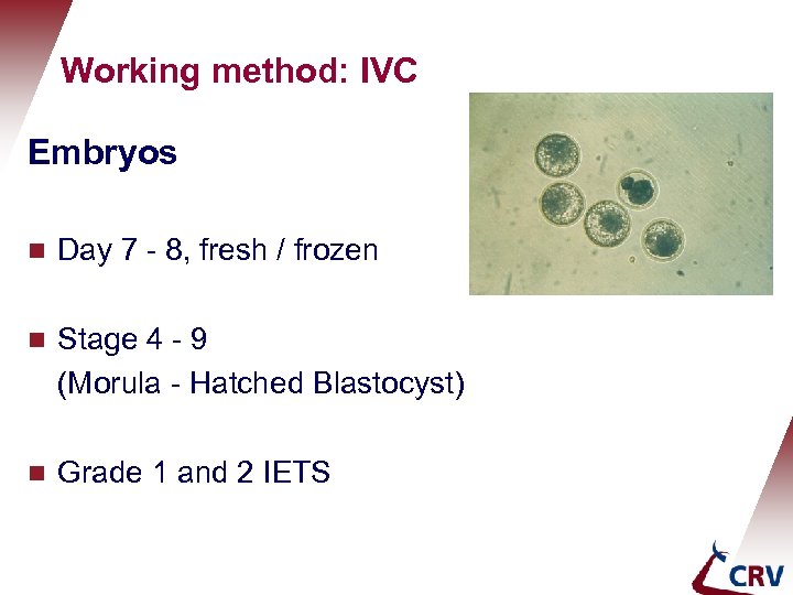 Use of OPU-IVP and SO at CRV breeding