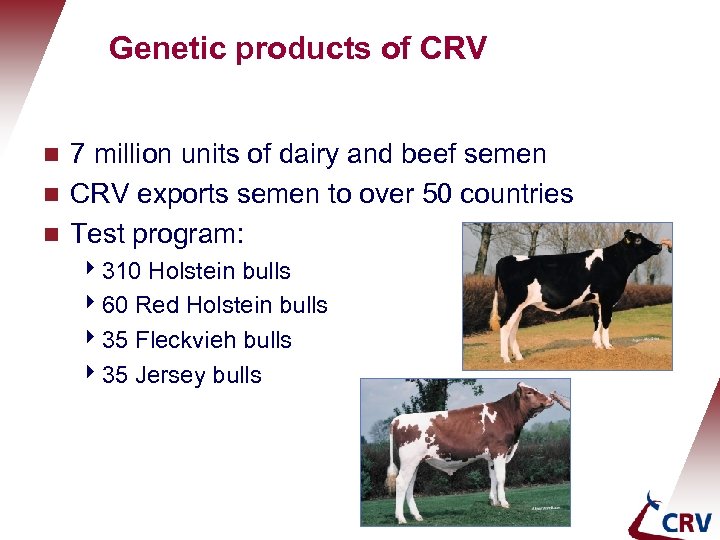 Use of OPU-IVP and SO at CRV breeding