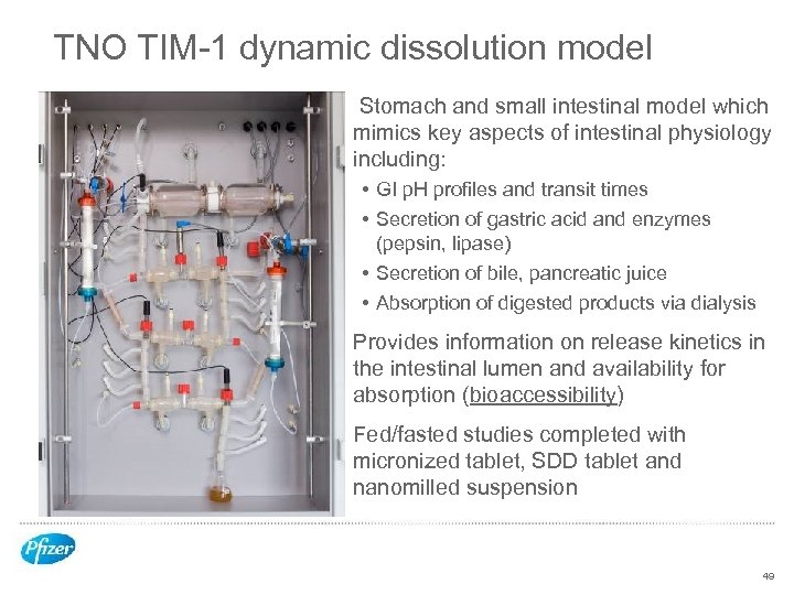 Dissolution where physiochemistry meets biology Phys Chem