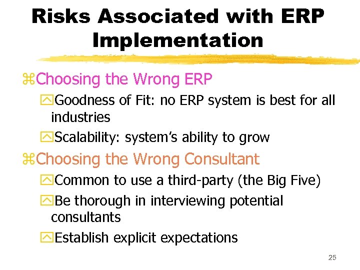 Enterprise Resource Planning Systems 1 Problems with