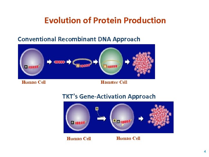Velaglucerase alfa as therapy for Gaucher disease Deborah