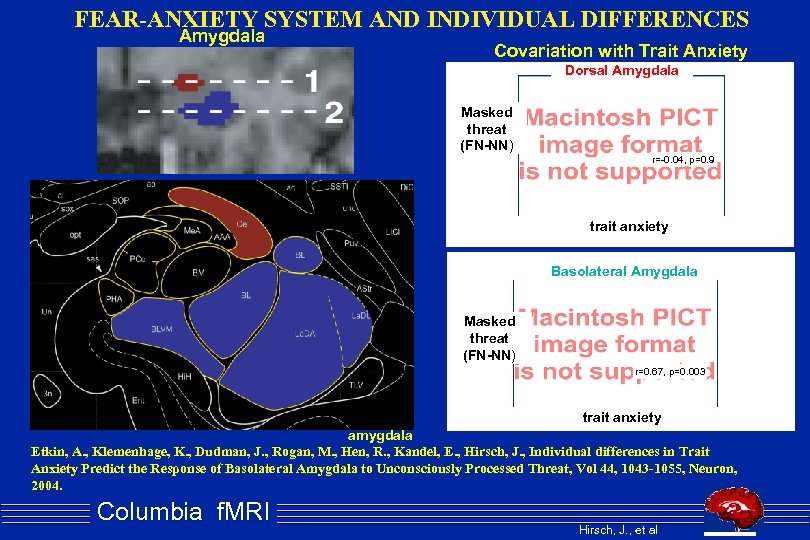 Neuroscience 2005 Functional Brain Imaging Joy Hirsch Ph