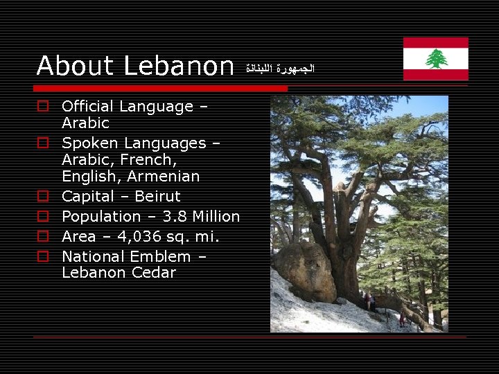Lebanon s Struggle for Peace and Independence Outline