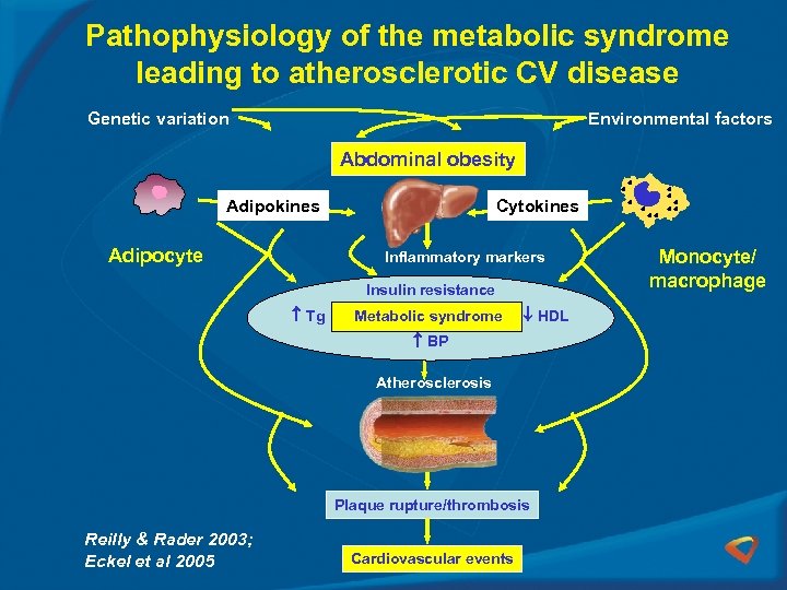 Metabola Syndromet 2006 Björn Carlsson Apex Block III