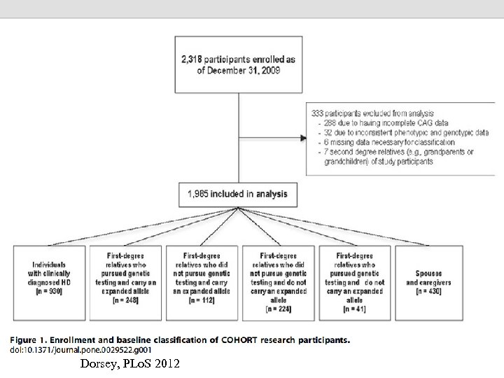 When does Huntington s Disease Begin Richard Dubinsky MD