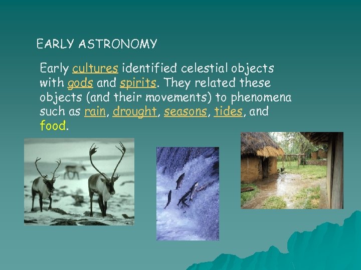 EARLY ASTRONOMY Early cultures identified celestial objects with