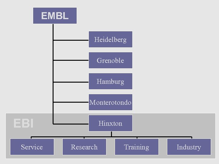 EBI as a research infrastructure Graham Cameron EBI