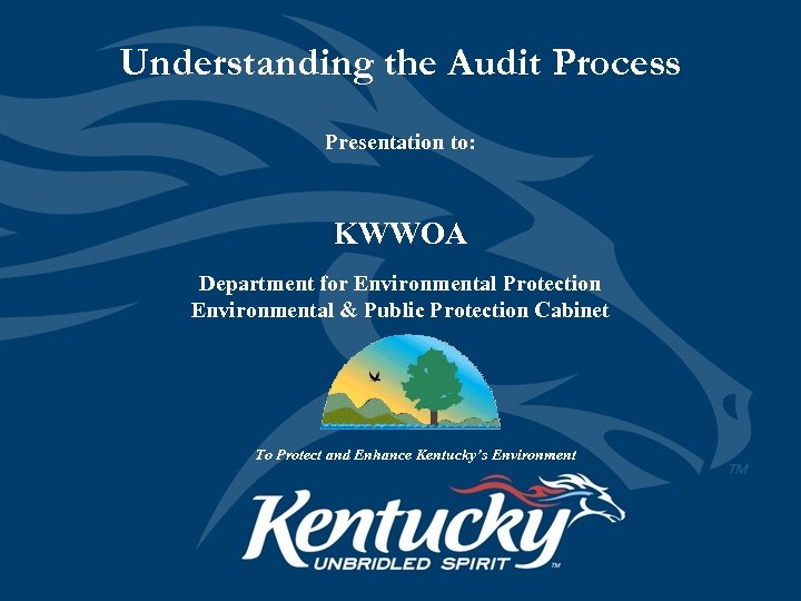 Understanding the Audit Process Presentation to KWWOA Department