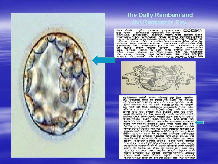 If the Rambam Were Alive Today Contemporary Jewish