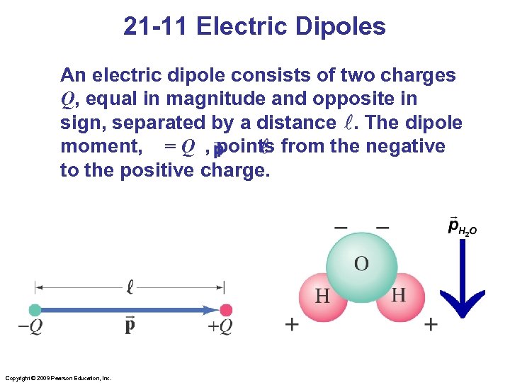 Chapter 21 Electric Charge and Electric Field Copyright