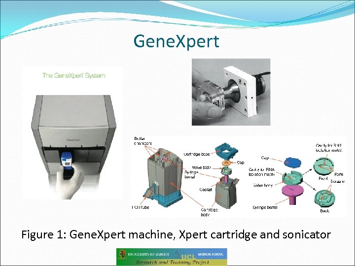 Evaluation of the burden of tuberculosis in adult