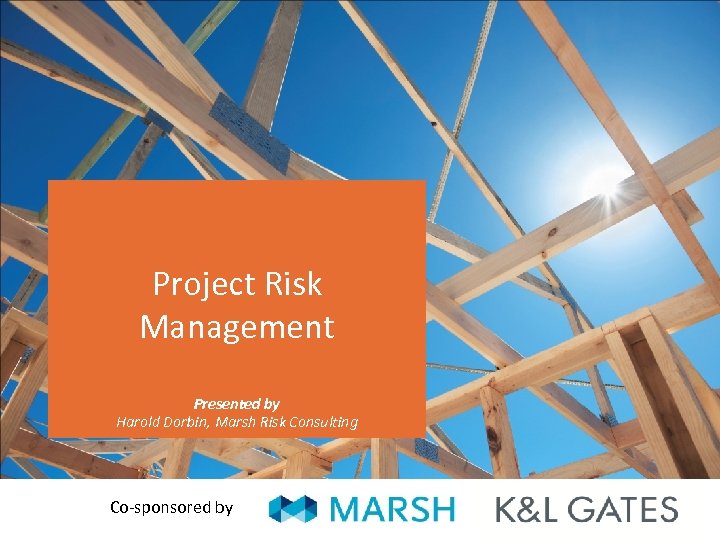 Project Risk Management Presented by Harold Dorbin