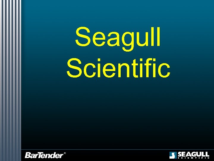 Seagull Scientific Introduction Ø Who is Seagull