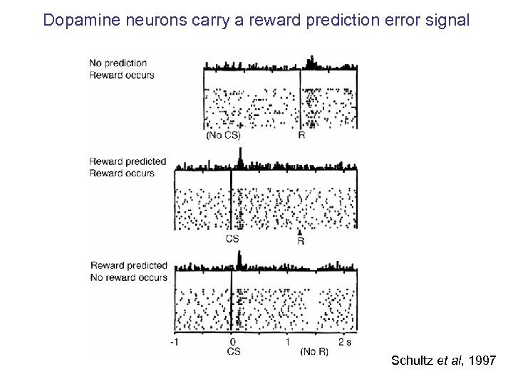 Models of addiction role of dopamine and other