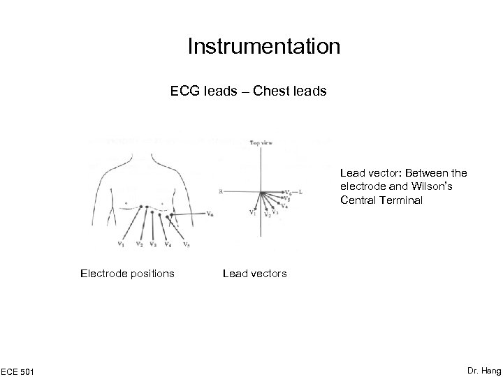 ECE 501 Introduction to BME ECE 501 Dr