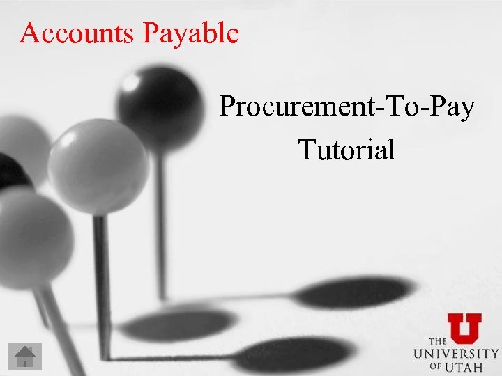 Accounts Payable Procurement-To-Pay Tutorial What we do