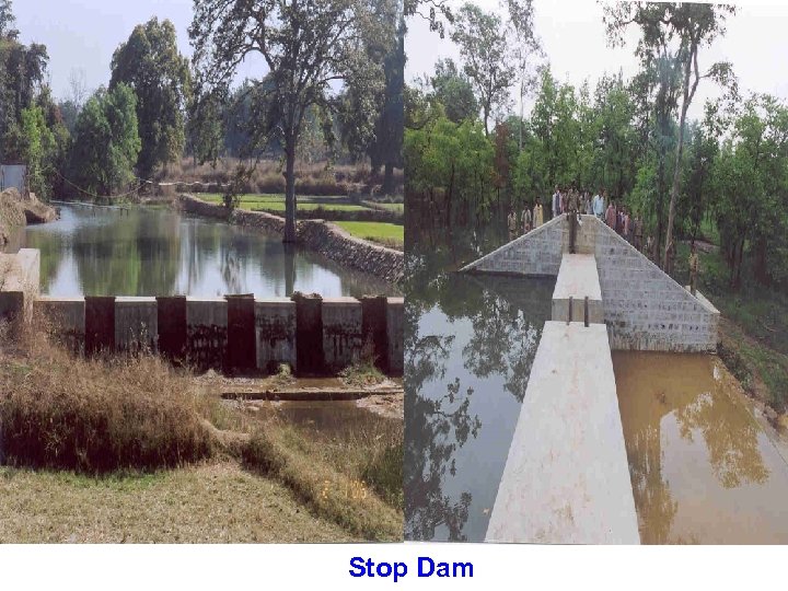 Implementation of Scheduled Tribes and Other Traditional Forest