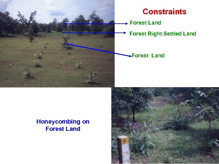 Implementation of Scheduled Tribes and Other Traditional Forest